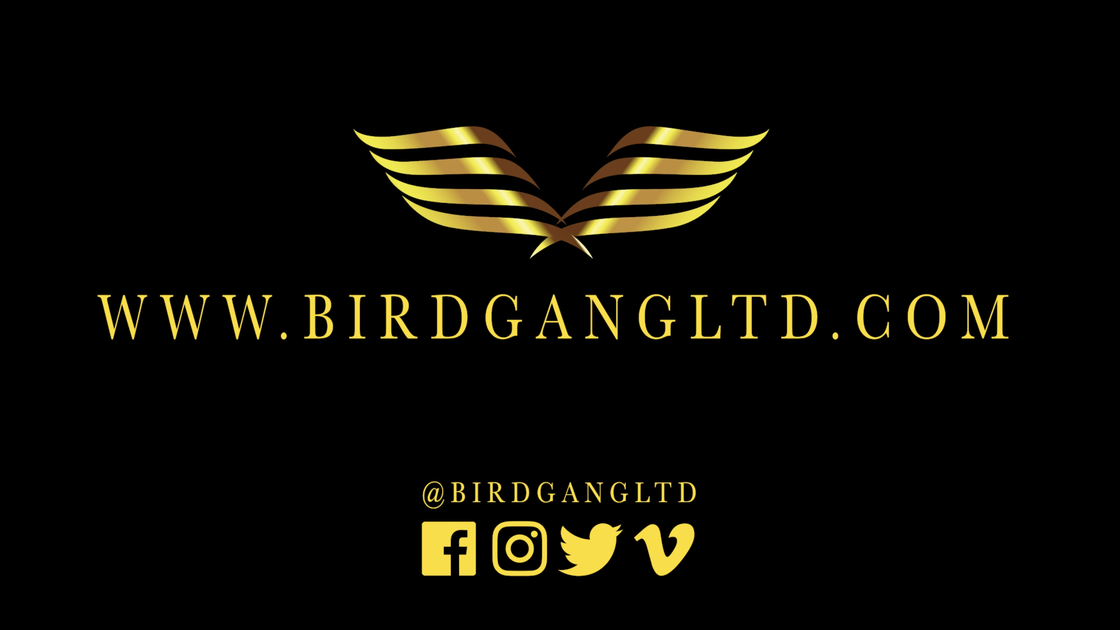 BirdGang Ltd — Croydon Creative Directory